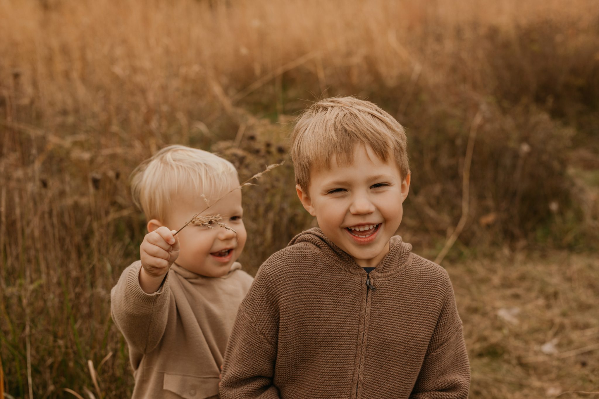 Amanda Abraham Photography, Inc. – Welcome!