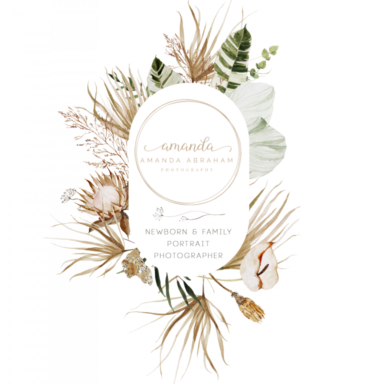 Amanda Abraham Photography, Inc. – Welcome!