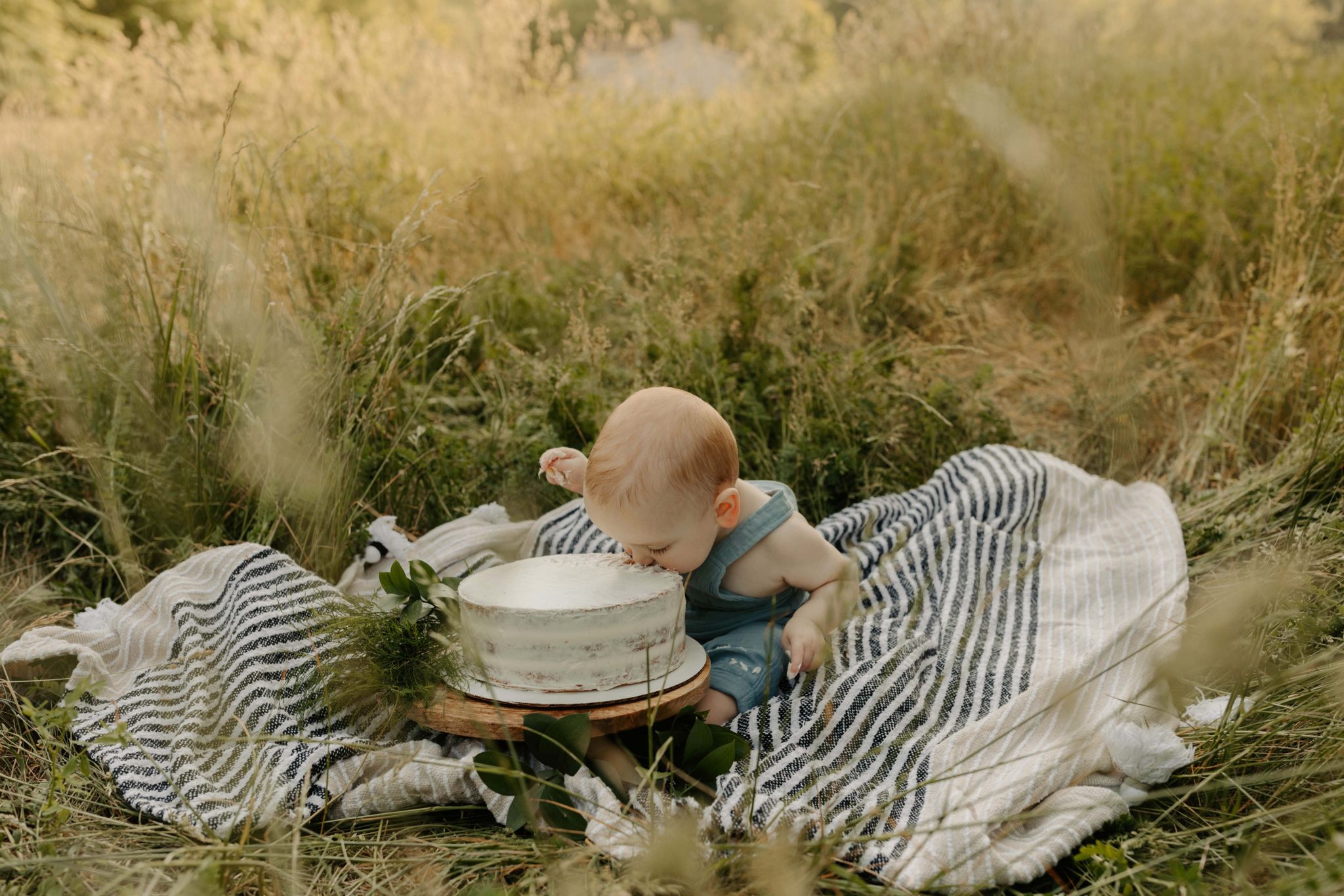 Amanda Abraham Photography, Inc. – Welcome!